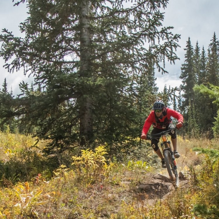 Upper Hixon Forest Trail Review by YouTube Sensation, BKXC ...