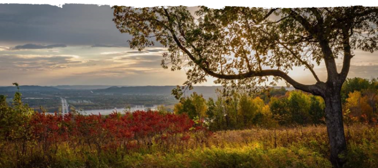 Best Places To See Fall Foliage In The La Crosse Region | ExploreLaCrosse
