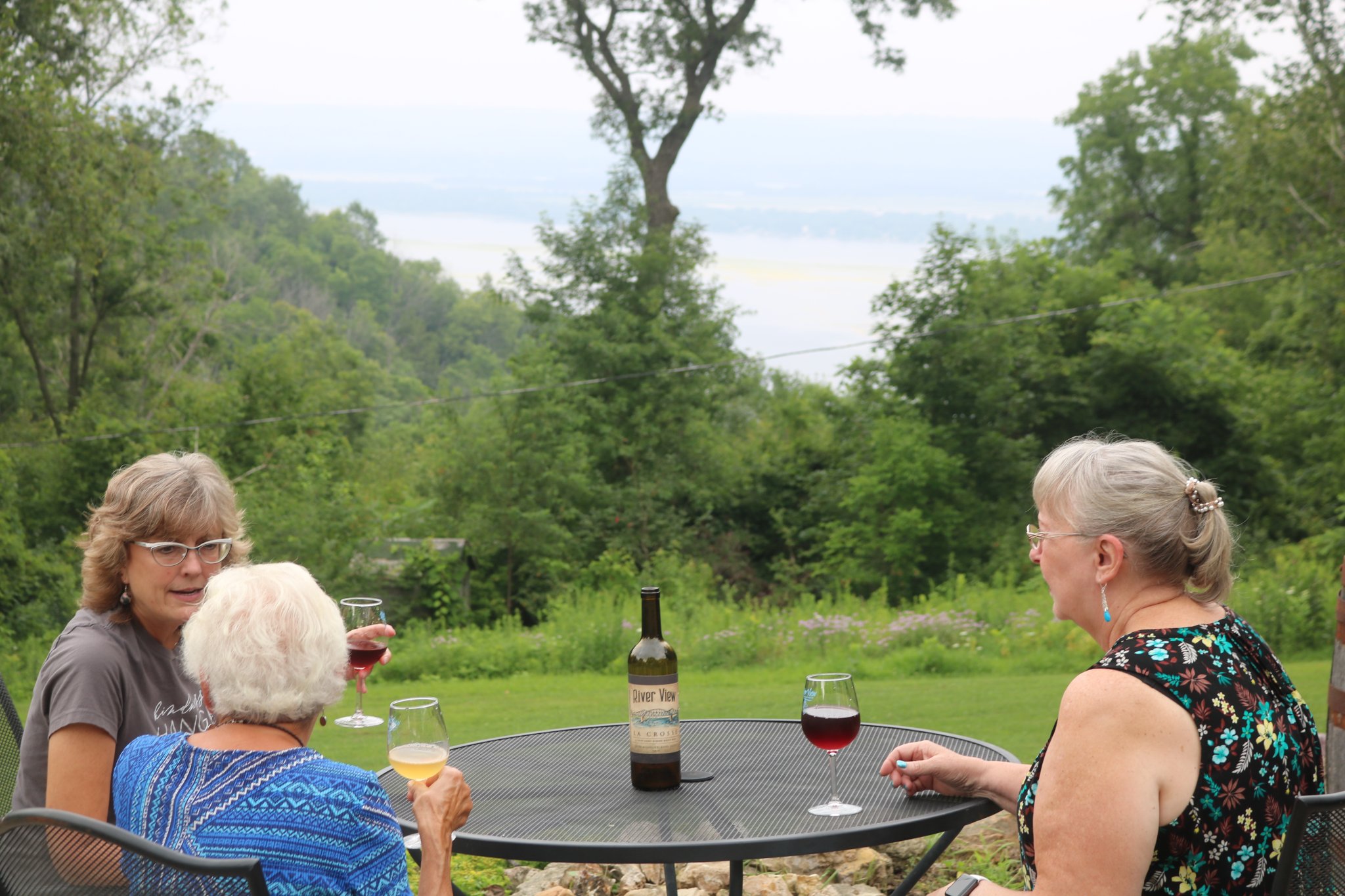 River View Vineyard and Winery | ExploreLaCrosse